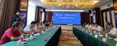 亩产8306公斤！我校培育的突破性水稻新品种产量创新高 四川农业大学水稻研究所