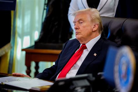 Overweight Trump 79 Scrambles After Admitting He Looked Fat