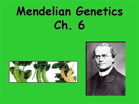 Mendelian Genetics Ch 6 What Is Genetics The