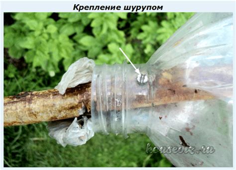 Как собрать вишню с высокого дерева 3 проверенных способа