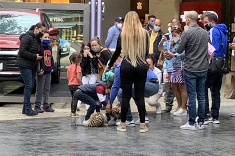 American Gay Xnxx Nutlalapa