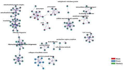 Genes Free Full Text Integrated Multi Tissue Transcriptome Profiling Characterizes The