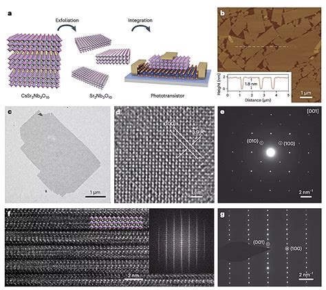 The Promise Of 2d Perovskite Oxides For Optoelectronic Devices