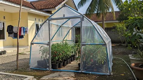 7 Ide Greenhouse Mini Hemat Biaya Untuk Kebun Cabai Rumahan Modal Barang Bekas