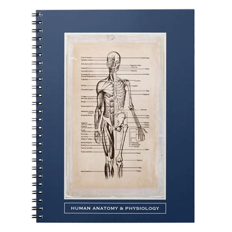 Human Anatomy And Physiology Customized Notebook Zazzle Human Anatomy