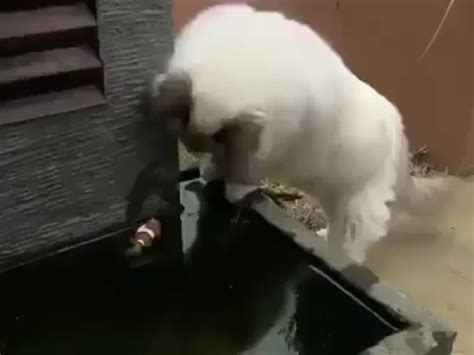 Vibha Chaudhary Posted On Linkedin