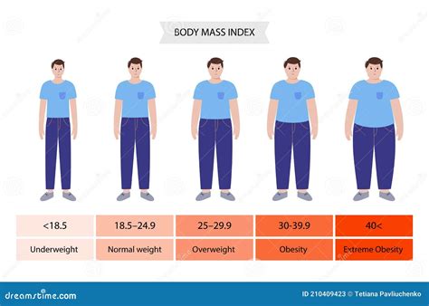 Body Mass Index Man Stock Vector Illustration Of Obesity 210409423