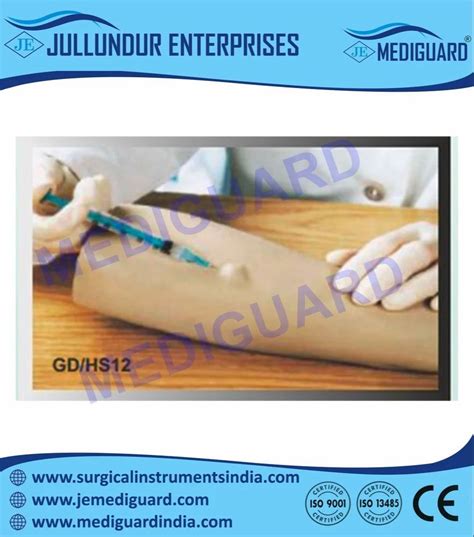 Pvc Intradermal Injection Arm Model Size At Best Price In Ghaziabad Id 2853420913291