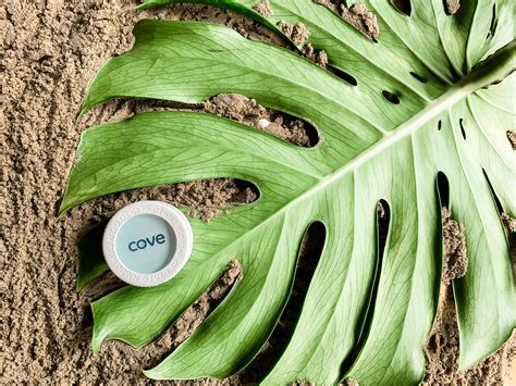 Buy Affordable Propranolol Generic Inderal® For Migraine Prevention Cove Cove