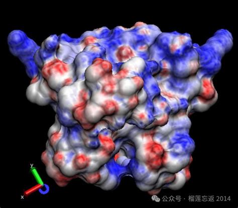 如何在 Pymol 中显示蛋白表面电荷 知乎