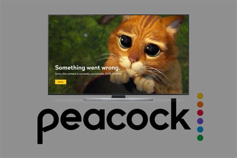 How To Fix Something Went Wrong Error On Peacock Saint