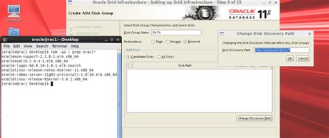 Create Asm Diskgroup No Disk To Choose From Databases Spiceworks