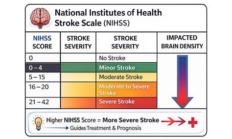 Fisetin Improved Brain Recovery After Stroke Renue By Science