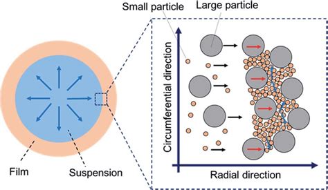 Schematic Illustration Of Formation Of A Film That Shows Negative Download Scientific Diagram