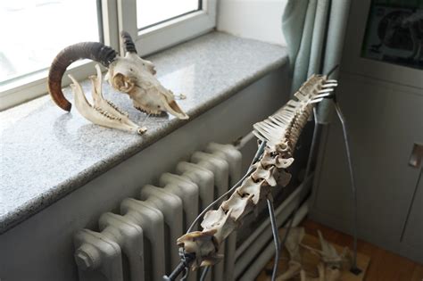 Дундговь аймаг Дундговь аймаг Засаг даргын Тамгын газар