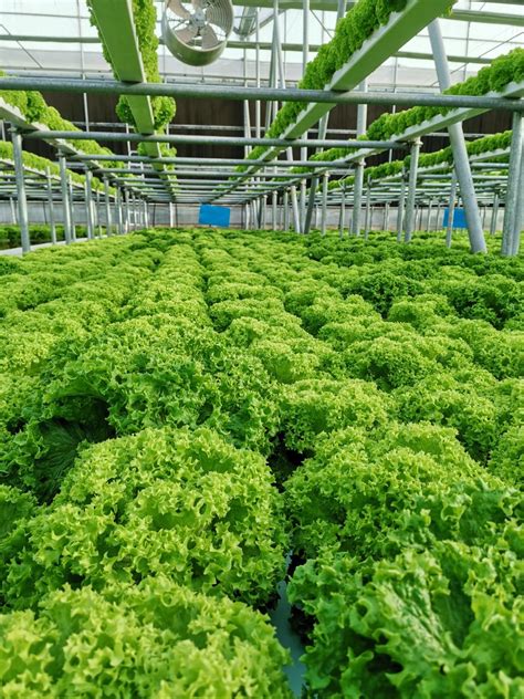 Shehroz Khan Posted On Linkedin