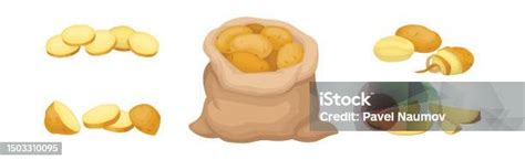 자루에 담긴 전체 감자와 식물 벡터 세트의 뿌리 채소 또는 녹말 결절로 얇게 썬 것 갈색에 대한 스톡 벡터 아트 및 기타 이미지
