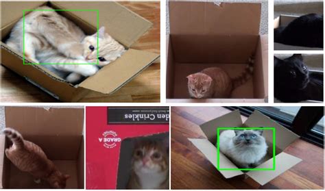 Github Gale31objectdetector Objectdetector Uses Opencv Haar Cascade Classifiers To Detect