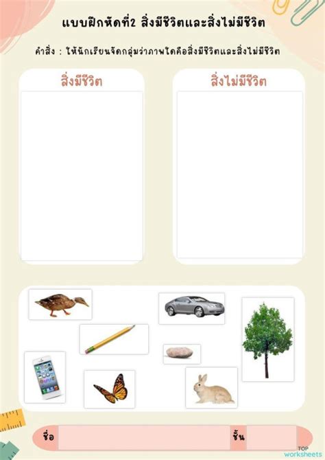 จำแนกสิ่งมีชีวิตและสิ่งไม่มีชีวิต ใบงานเชิงโต้ตอบ Topworksheets