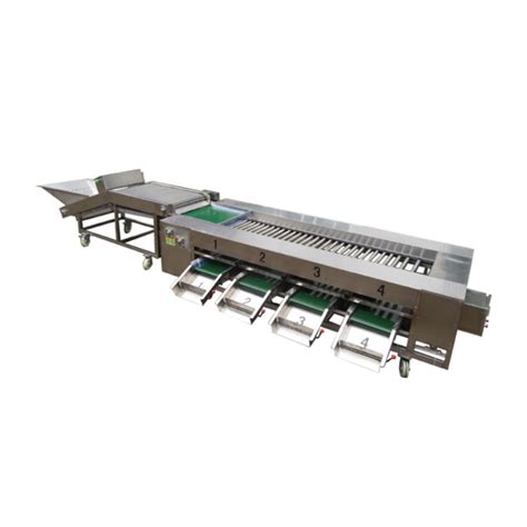 Vegetable Fruit Sorting Machine Tomato Chili Pepper Carrot Cucumber Mushroom Grading Machine
