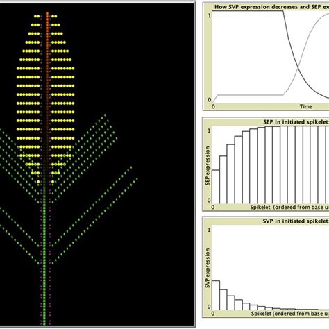Individual Based Models Provide A Perfect Iterative Testing Ground For