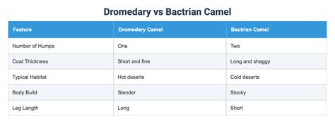 Dromedary Vs Bactrian Camel