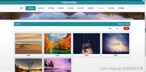 Django计算机毕业设计环境保护宣传网站python源码程序lw远程部署 Csdn博客