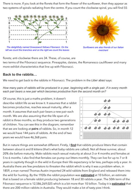 Fibonacci Rabbits And Beauty