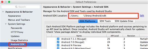 Typing Animation With React Nextjs And Typedjs By Dimitar Danailov Medium