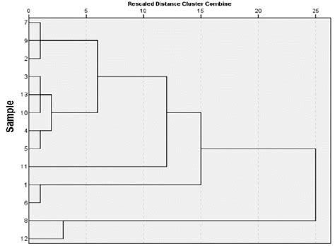 Dendrogram Of Carolino Rice Using Average Linkage Between Groups