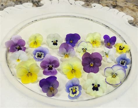 Edible Flowers Micro Greens Crystallized Flowers Shipped Direct To