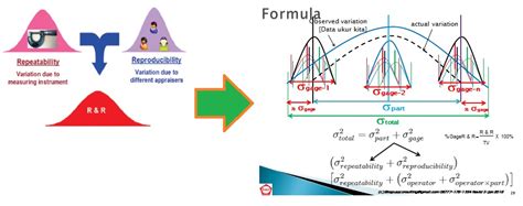 Perbedaan Metoda Msa Cross Nested Dan Expanded Improvementqhse