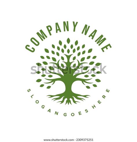 Unique Circle Oak Tree Root Leaf Stock Vector Royalty Free 2309375251