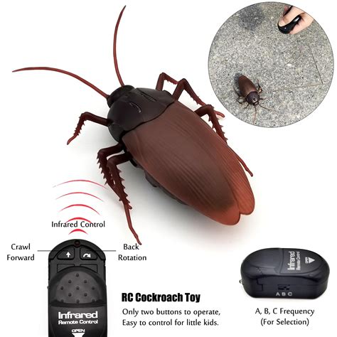 Rc Cockroach Remote Control Car Vehicle Animal Toys Electronic Realist