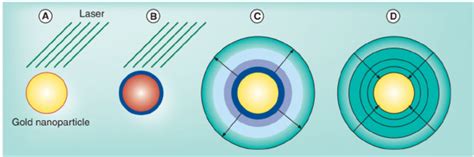 Growth And Collapse Of A Plasmonic Nanobubble Download Scientific Diagram