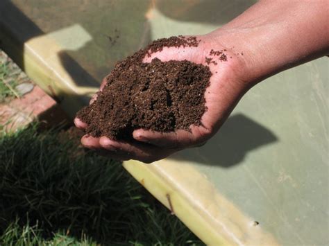 How To Solve Common Compost Problems Part 1 Greenthumbblog