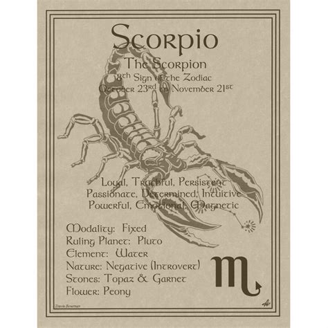 Zodiac Scorpio Scorpion 60 Photos