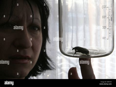 Chernobyl Disaster Mutations