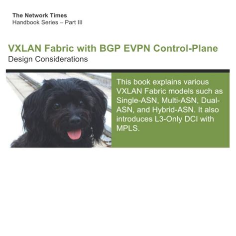 BOOK VXLAN Fabric With BGP EVPN Control Plane Design Considerations Pdf DocDroid