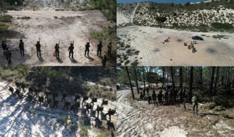 Imagens De Exemplo Do Dataset 4 Download Scientific Diagram