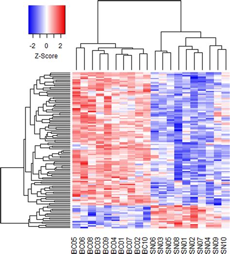 Heatmap Of Differentially Expressed Genes Between Breeding‐coloured