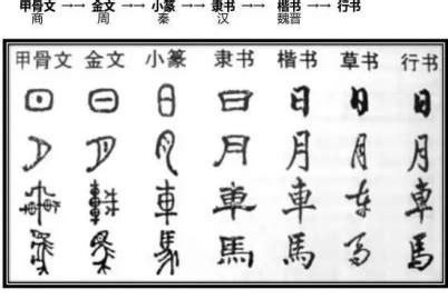 天天科普 汉字的演化 大武汉