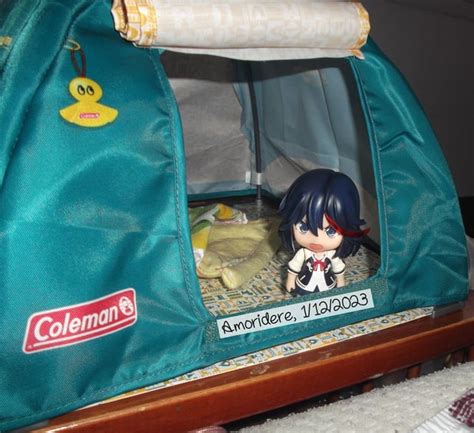 Being A Vagrant Methinks That Ryuuko Would Actually Live In A Tent