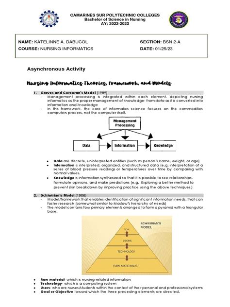 Dabucol Nursing Informatics Ni Theories Model Framework Pdf Medical