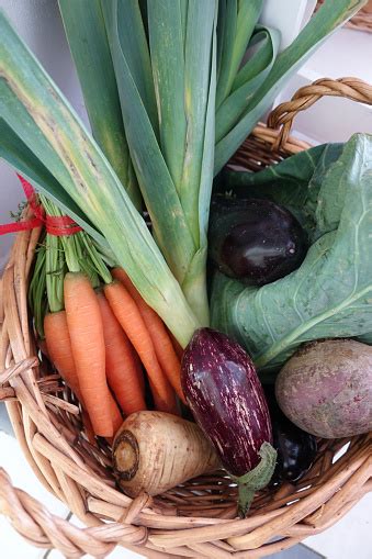 고리버들 바구니 당근 배 가지 샐러드에 혼합 된 유기농 야채 가지 채소에 대한 스톡 사진 및 기타 이미지 가지 채소 고리 세공 다진 피클 Istock
