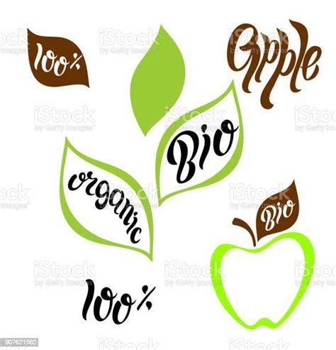 Letteringcalligraphy입니다 유기농 제품에 대 한 아이콘입니다 잎입니다 Appleorganic입니다 바이오입니다 100 입니다 건강 한 먹는입니다 벡터