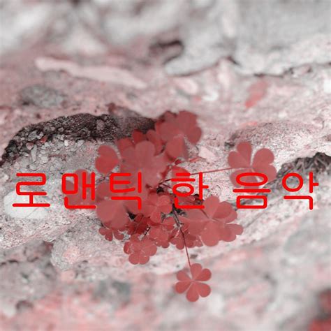로맨틱 한 음악 歌词网