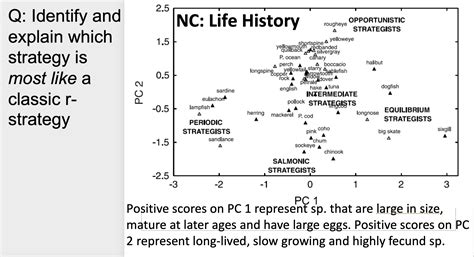 Solved Identify And Explain Which Strategy Is Most Like A