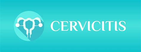 ¿qué Es La Cervicitis Y Cuál Es El Tratamiento Blogs Mapfre