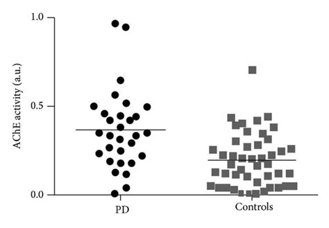 The Preganglionic Parasympathetic Cell Bodies Responsible For Download Scientific Diagram